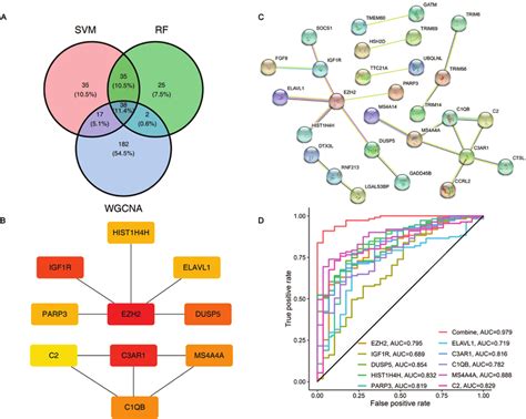 Hub Genes Of Pss Screening A Venn Diagram Of Svm Rf And Wgcna Download Scientific Diagram