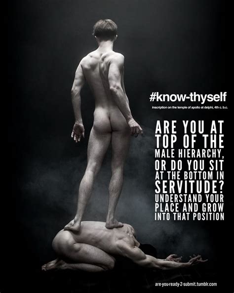 Alpha Male Born To Rule Collectors Realm