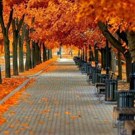 آلبوم عکس پروفایل پاییز دخترانه فانتزی شیک 2 تــــــــوپ تـــــــــاپ