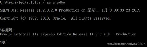 oracle express edition（简洁版 开发版）非注册下载安装及sql plus的简单使用 oracle开发版下载