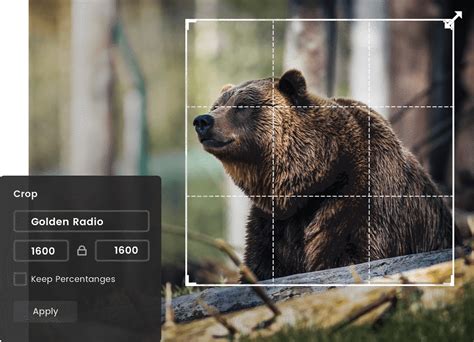 Как обрезать фотографию в Css