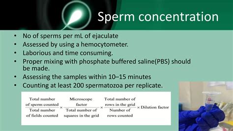 Sperm Assessment Traditional And Novel Approachespptx