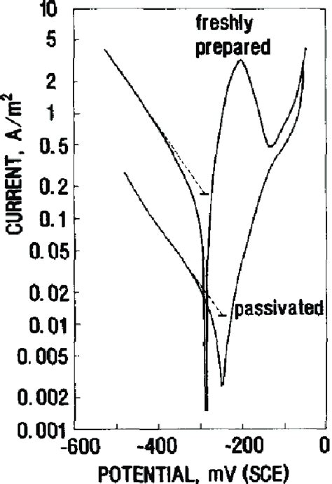3 Typical Polarization Curve Of Nab In Seawater 9 Download