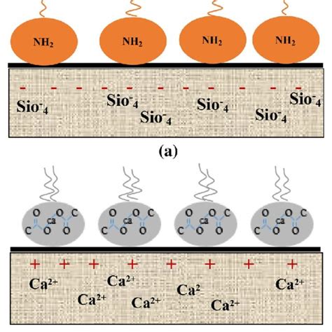Surfactant Adsorption Density On Drilling Cutting Samples At 30 °c A Download Scientific