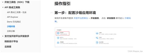 沙箱 简单实现支付宝网页支付功能 支付宝沙箱技术的实现简单吗 csdn博客