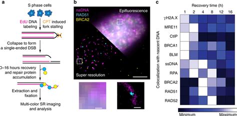 Super Resolution Spatiotemporal Mapping Of The Arrivals Accumulations Download Scientific