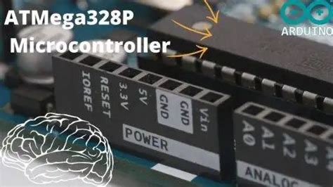 Microcontroller Vs Microprocessor The Core Of Modern Technology