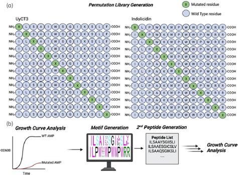 Methodology For Systematic Evolution Of Antimicrobial Peptides A