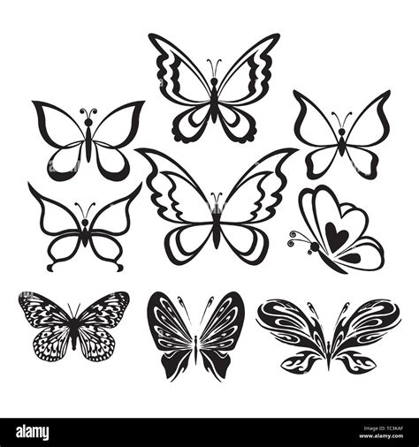 Insect Butterfly Outline Vector Nature Coloring Book Insect Butterfly Outline Vector Nature