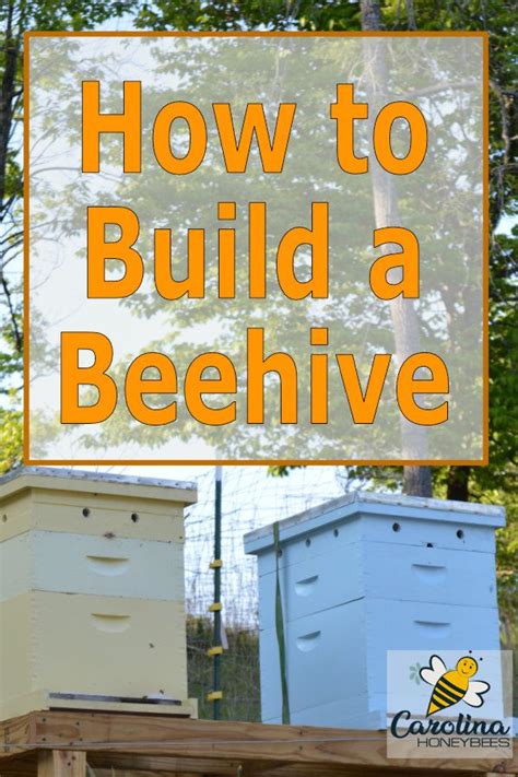 How To Build A Beehive Of Your Own Carolina Honeybees Bee Hive