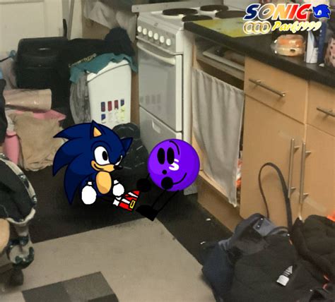 Sonic Objectsona And Violet Skittle In Real Life By Sonicpark1999 On