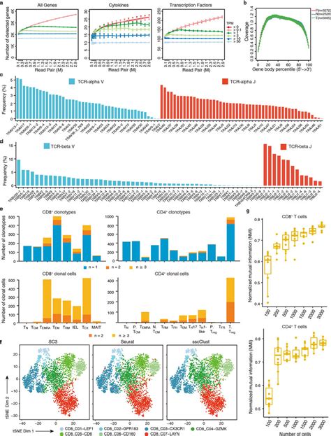 Basic Information Of The Single T Cell Rna Seq Data A Saturation Download Scientific Diagram