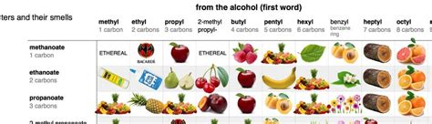 Esters Fats And Oils Soaps Cfe Higher Chemistry Unit 2 Natures