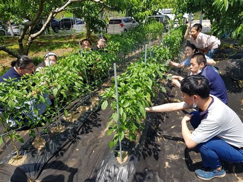 청도군장애인복지관 🥦발달장애인 주간활동서비스 원예활동학습장🥬 여가활동 및 정서지원 역량 프로그램으로