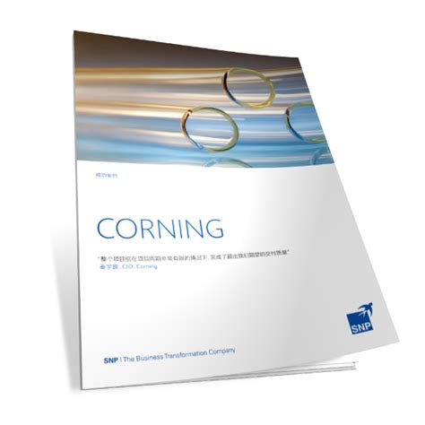 Sap实施and推广公司 Snp 专业sap管理咨询 多行业sap实践及跨国本地化快速部署方案 Snpgroup