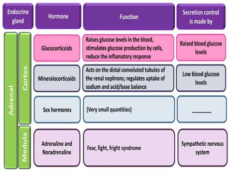 Adrenal Function Testspptx
