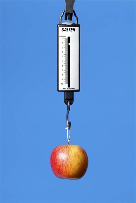 What Is A Newton Meter Answered Twinkl Teaching Wiki