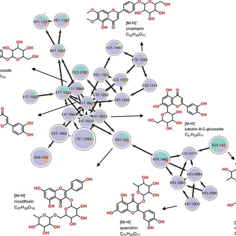 Feature Based Molecular Networking Fbmn And Network Annotation