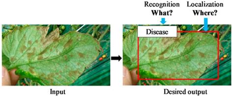 Sensors Free Full Text A Robust Deep Learning Based Detector For