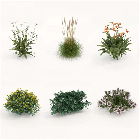 Realistic Shrub Bush Set 4 3d Model By Nhattuankts