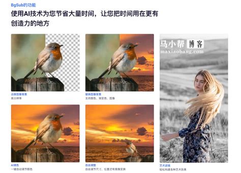 bgsub — ai智能抠图在线工具，全部免费、没有任何限制 马小帮