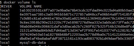 Cómo montar una Base de Datos MySql Persistida con Docker SEO para Google