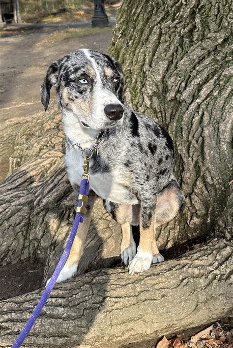 Demanded To Sit In A Tiny Nook With His Paws Crammed In Scrolller