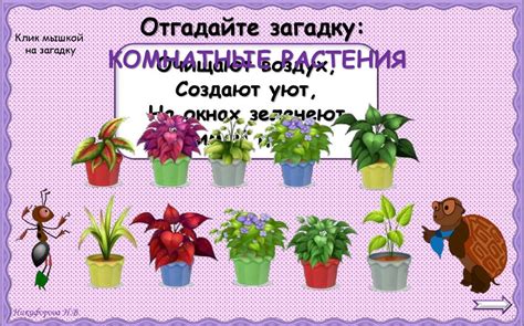 Урок 19 Комнатные растения Online Presentation