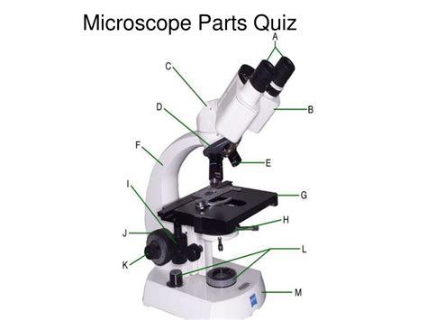 Ppt Diffusion Microscope And Cell Lab Powerpoint Presentation Id278971 Ppt Diffusion Microscope And Cell Lab Powerpoint Presentation Id278971