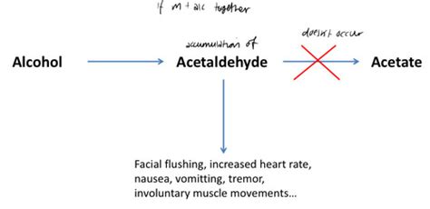 Antibiotic Sensitivities Of Bacteria Flashcards Quizlet