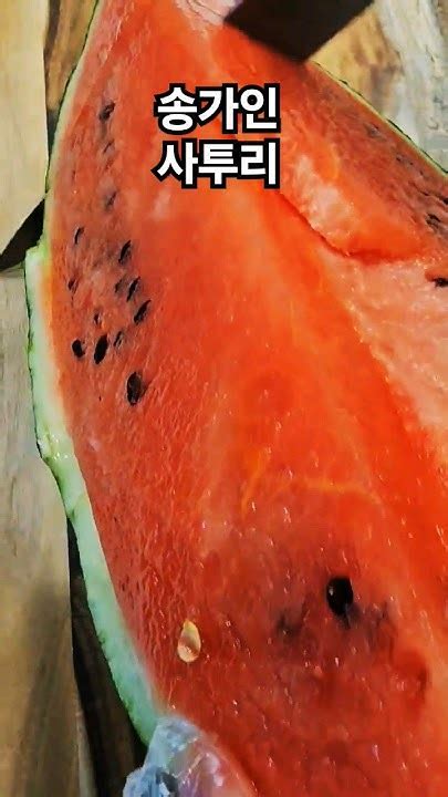 송가인사투리 송가인 사투리 Youtube