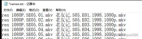 如何批量修改文件名，每一文件都可自定义 控制台修改文件名 csdn博客