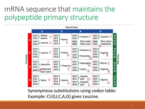 Ppt Mrna Secondary Structure Optimization Using A Correlated Stem Loop Prediction Powerpoint