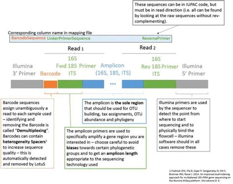 fastq质量值 微生物组16s rrna数据分析小结：从fastq测序数据到otu table csdn博客