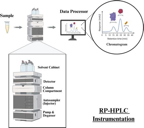 Rp Hplc A Versatile Technique For Identification Isolation And