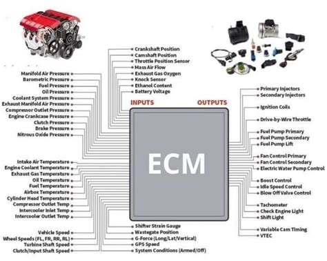 Ecu The Brain Of Your Vehicle Mostafa Farag Posted On The Topic Linkedin