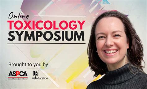 Decontamination Things We Have Learned Vetscentral Library