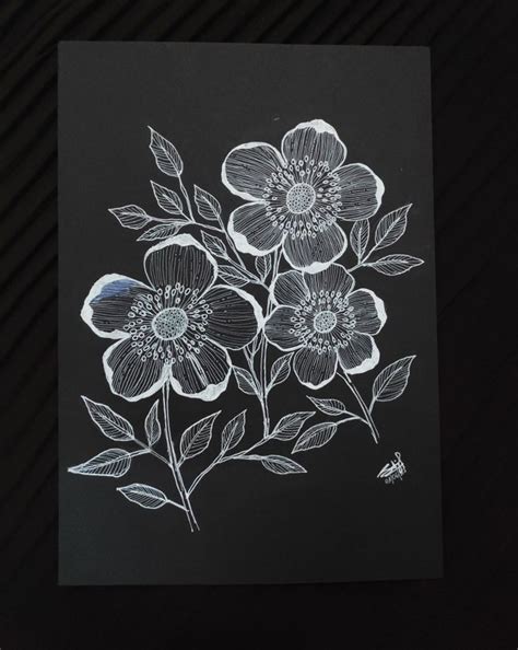 Lines Floral Illustration Black Paper Drawing Paper Illustration