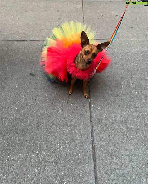 Lea Delaria Instagram Were Here Were Queer Were Still Eating