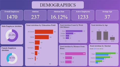 Meriskill Meriskillintern Internship Datacleaning Dataanalysis Harsha Vardhan Reddy Jinugu