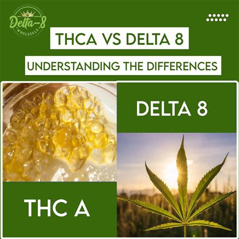 Thca Vs Delta 8 Understanding The Differences Delta 8 Wholesale