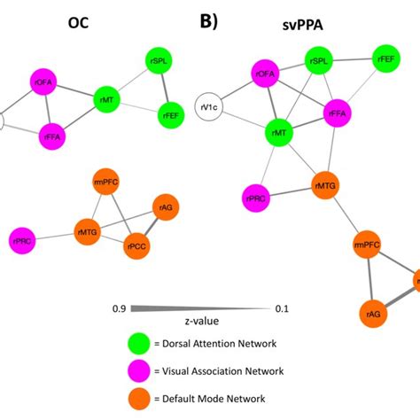 Intrinsic Connectivity Of Dorsal Attention And Visual Association