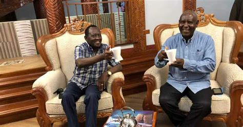 Mpuru Aburi 7 Photos Of Eala Mps Castle Like Mega Mansion In Meru County Ke