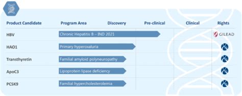 Pipeline Precision Biosciences