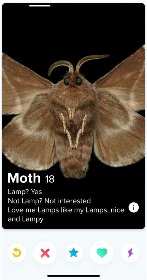 Creepy Moth Memes