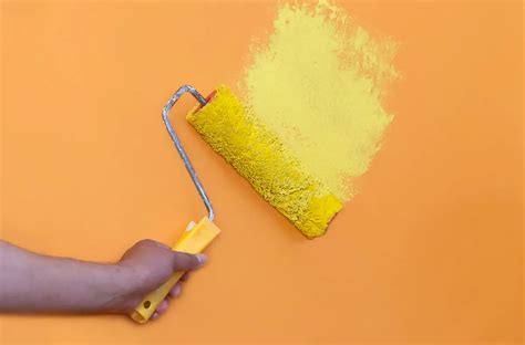 HPMC Vs HEC In Paint Formulations Biostability Cost Performance