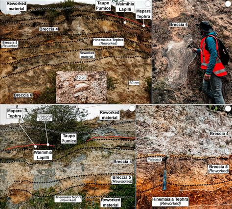 Field Appearance Of The Distal Deposits Of Breccias 6 4 At ∼2 Km Nne Of Download Scientific