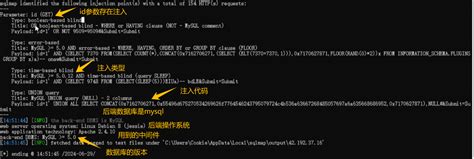 【每天学会一个渗透测试工具】sqlmap安装教程及使用 Csdn博客