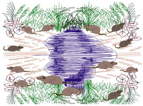 大蔗鼠优化算法gcra！灰狼算法作者又提出新算法！公式原理详解与性能测评 Matlab代码免费获取 Csdn博客