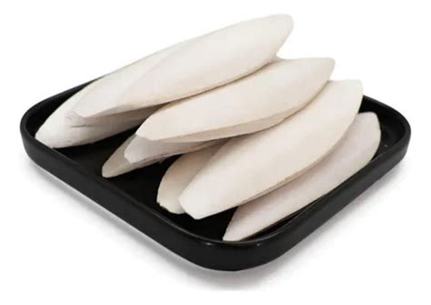 E Cuttlebone For Turtles 10 Unidades Tortuga Cuttlebone Meses Sin